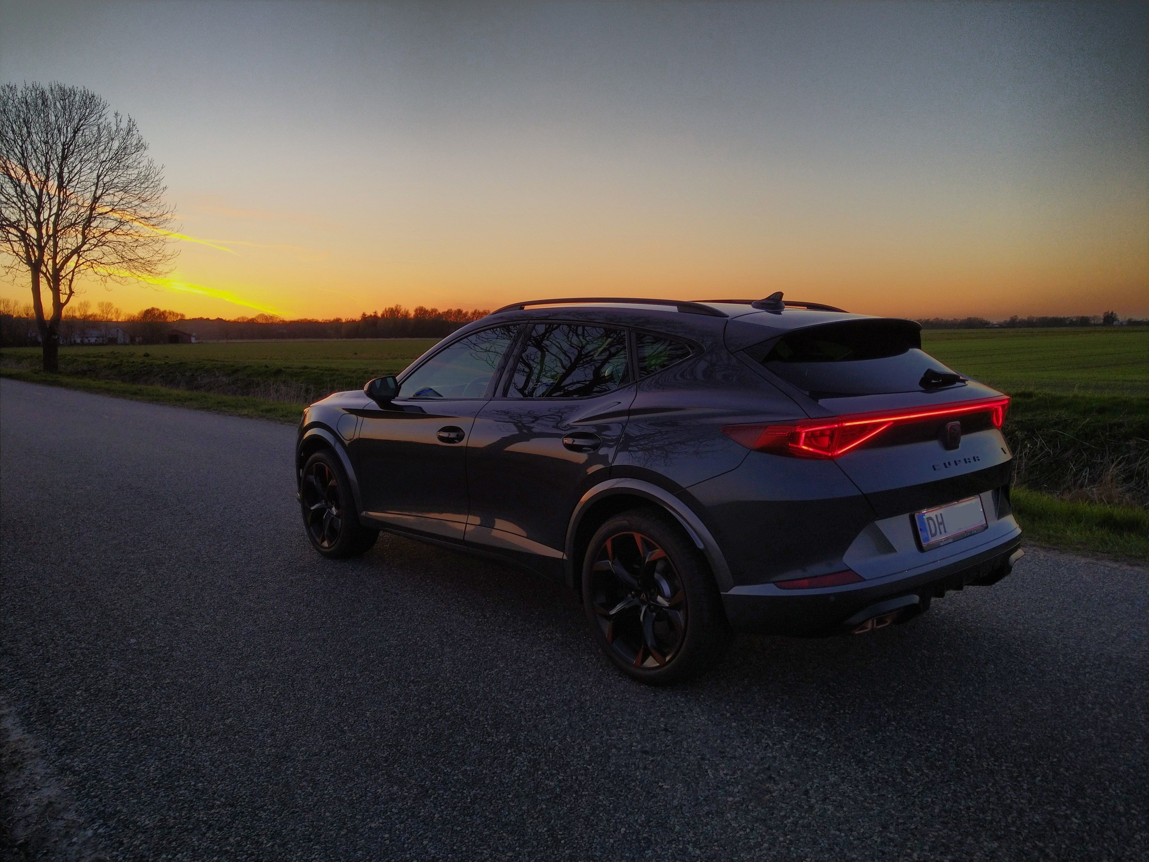 All the colors | SEATCUPRA.NET